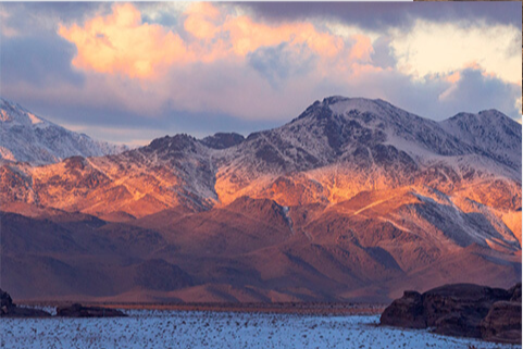 NEOM's ENOWA awards Worley framework agreement for water projects ...