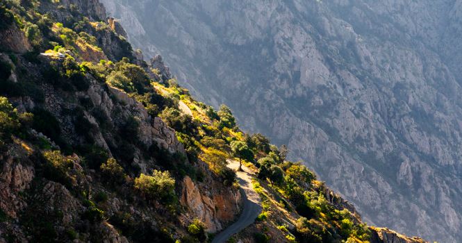 Aseer Investment Company launches operations to drive investment in the ...